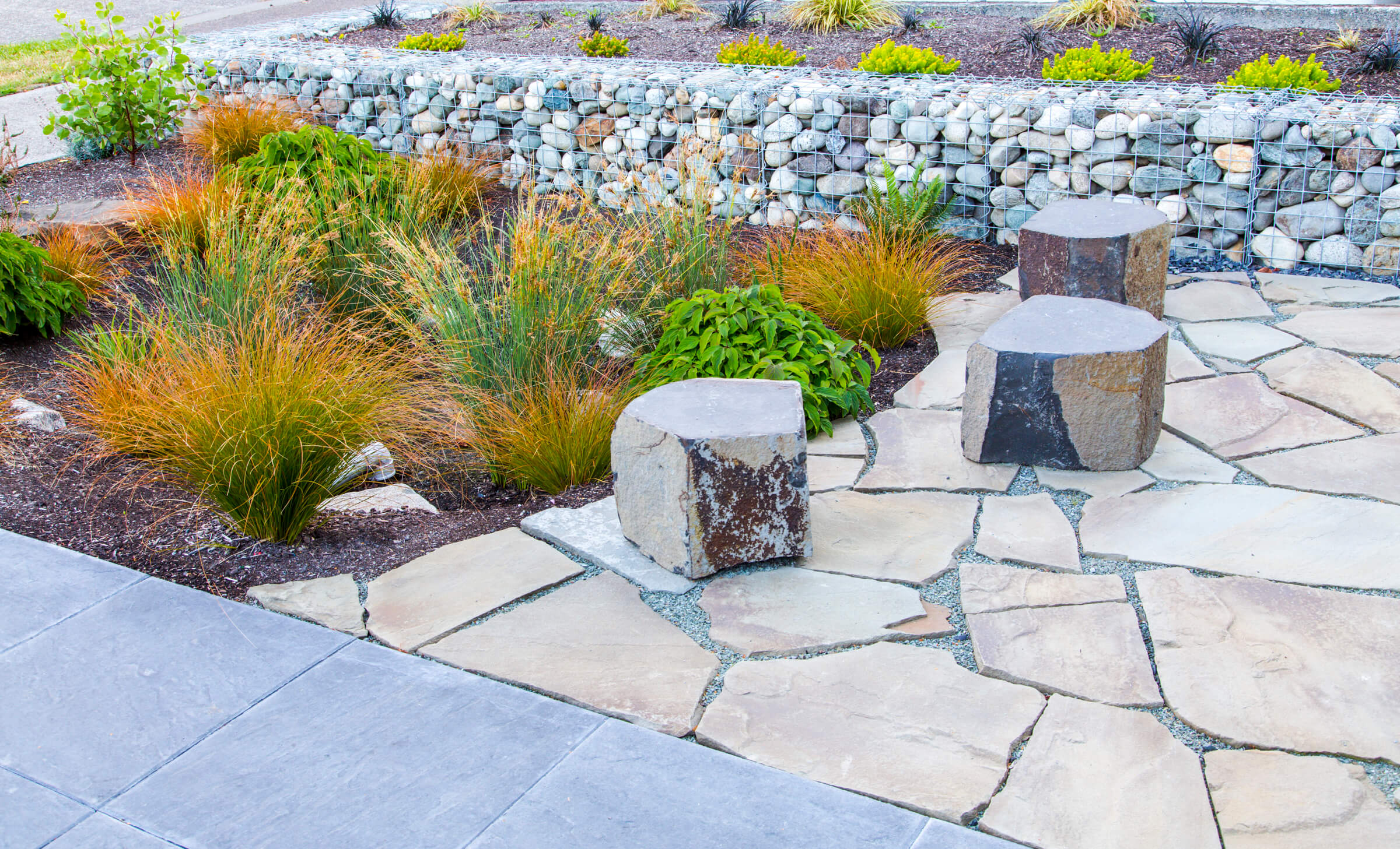 Green Roof Rain Gardens| West Edge Landworks